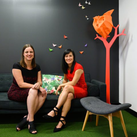 IAP2 Design and Plan Engagement, delivered by the Engagement Institute ...